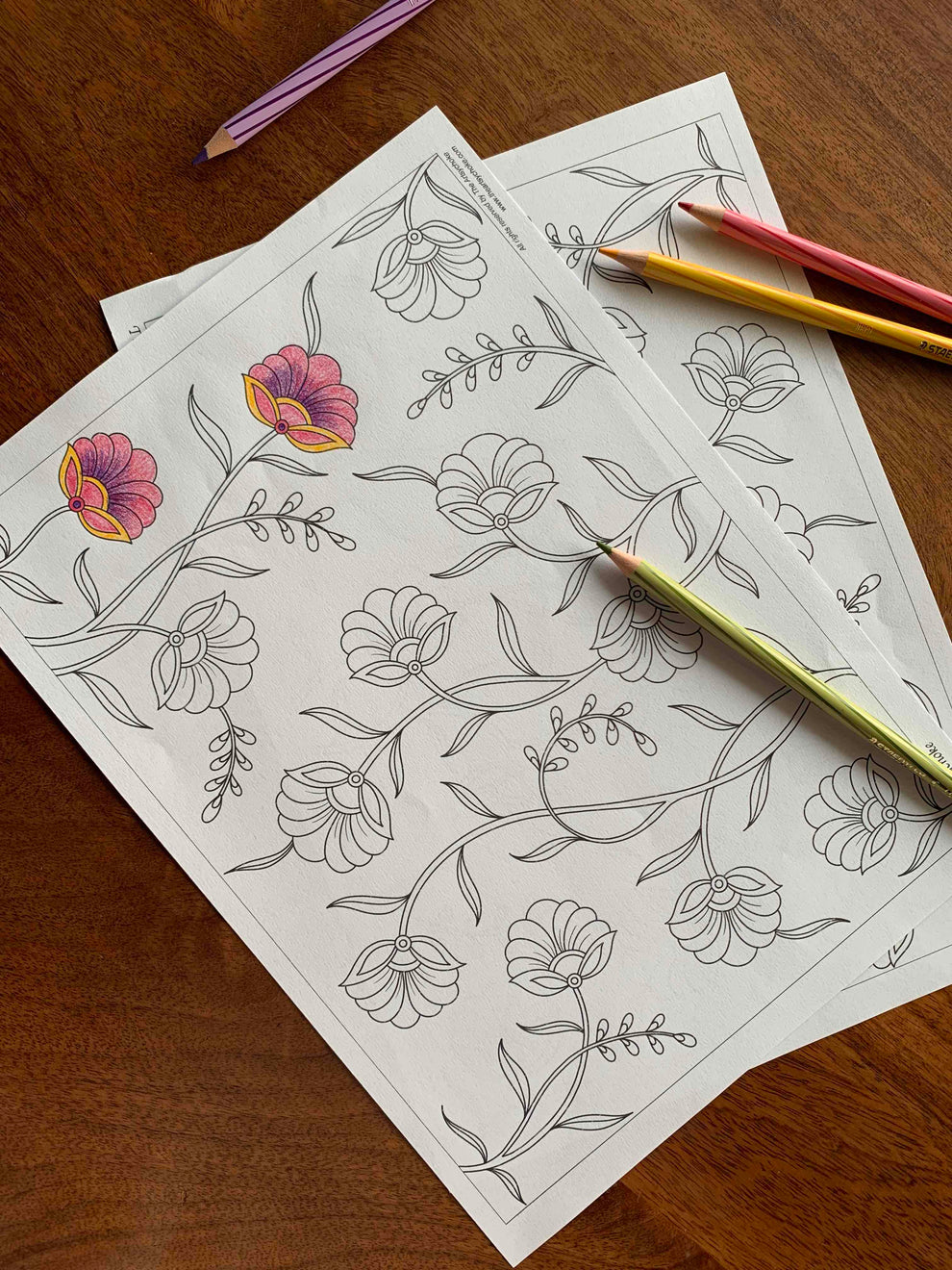 Calendula Colouring Sheet – The Artsychoke